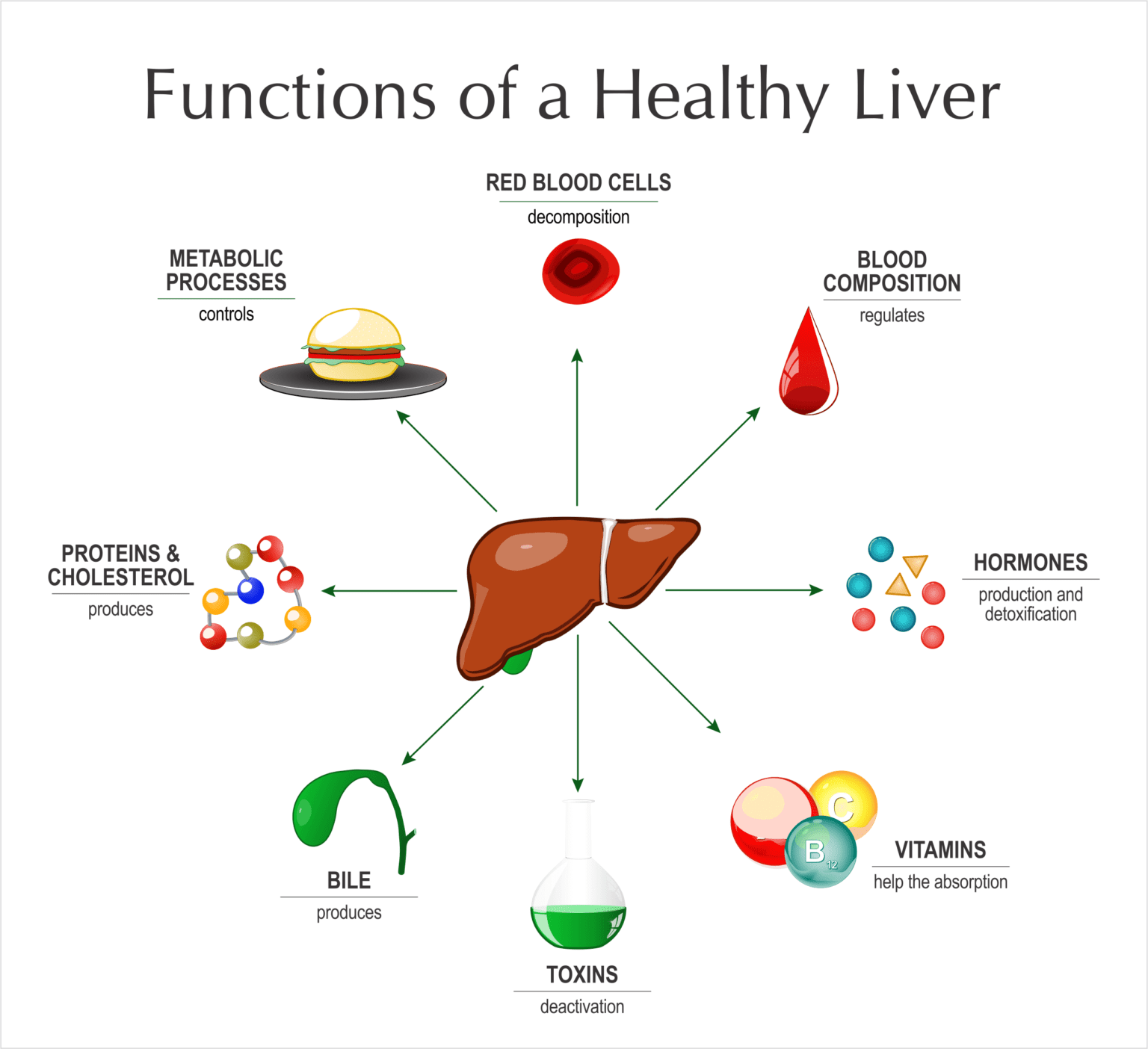 Liver Self-Repair | HepSA Community News